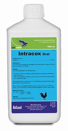 INTRACOX ORAL 100ML | AQI