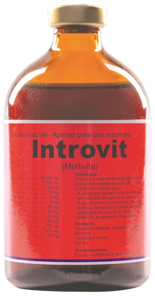 INTROVIT INJ (COMPLEXO VITAMINICO) 100ML | AQI