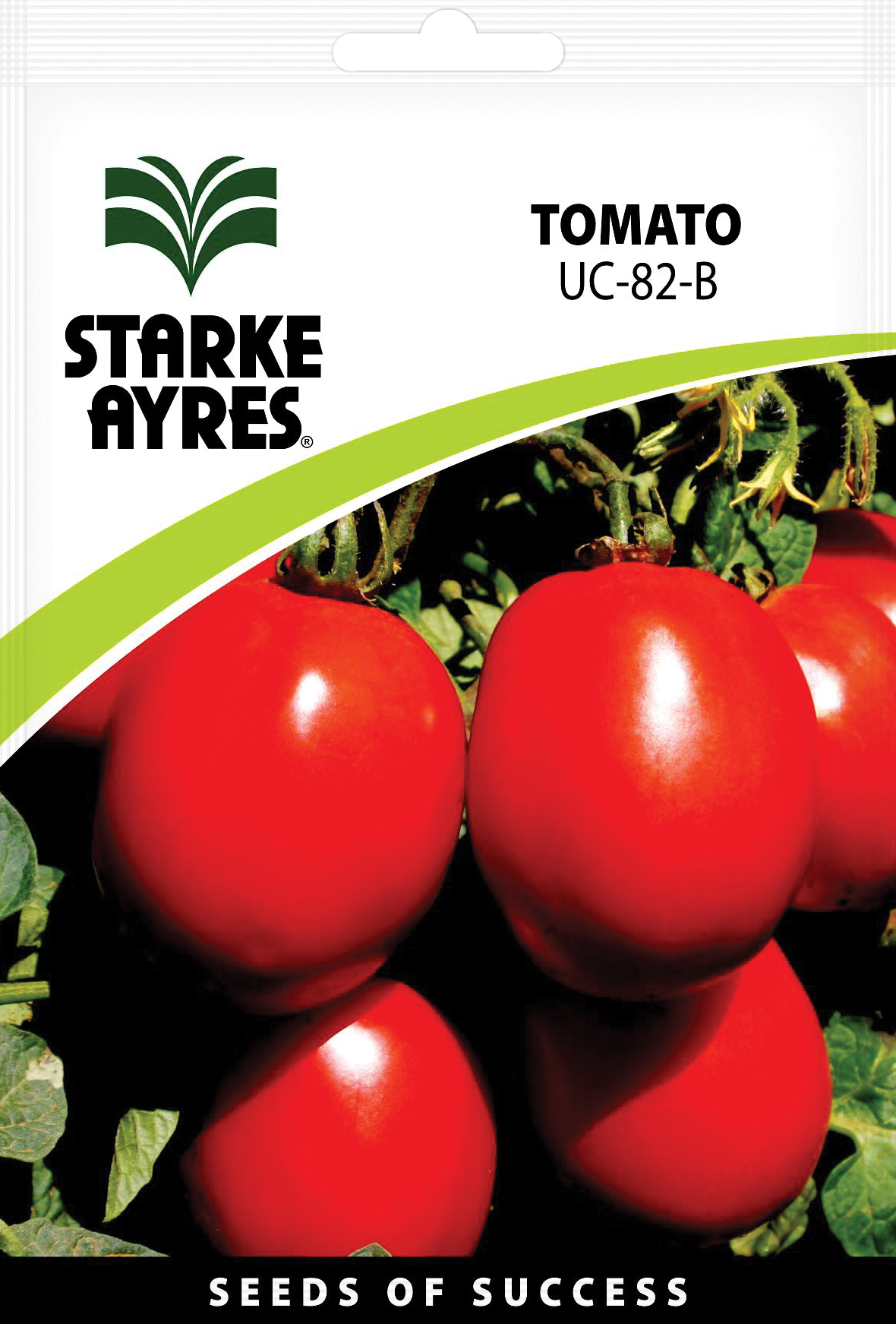 TOMATE STAR 9062, 2500 SEEDS STARKE | AQI
